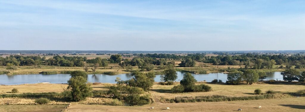 NSW Healthy Floodplains Project – Automated Control
